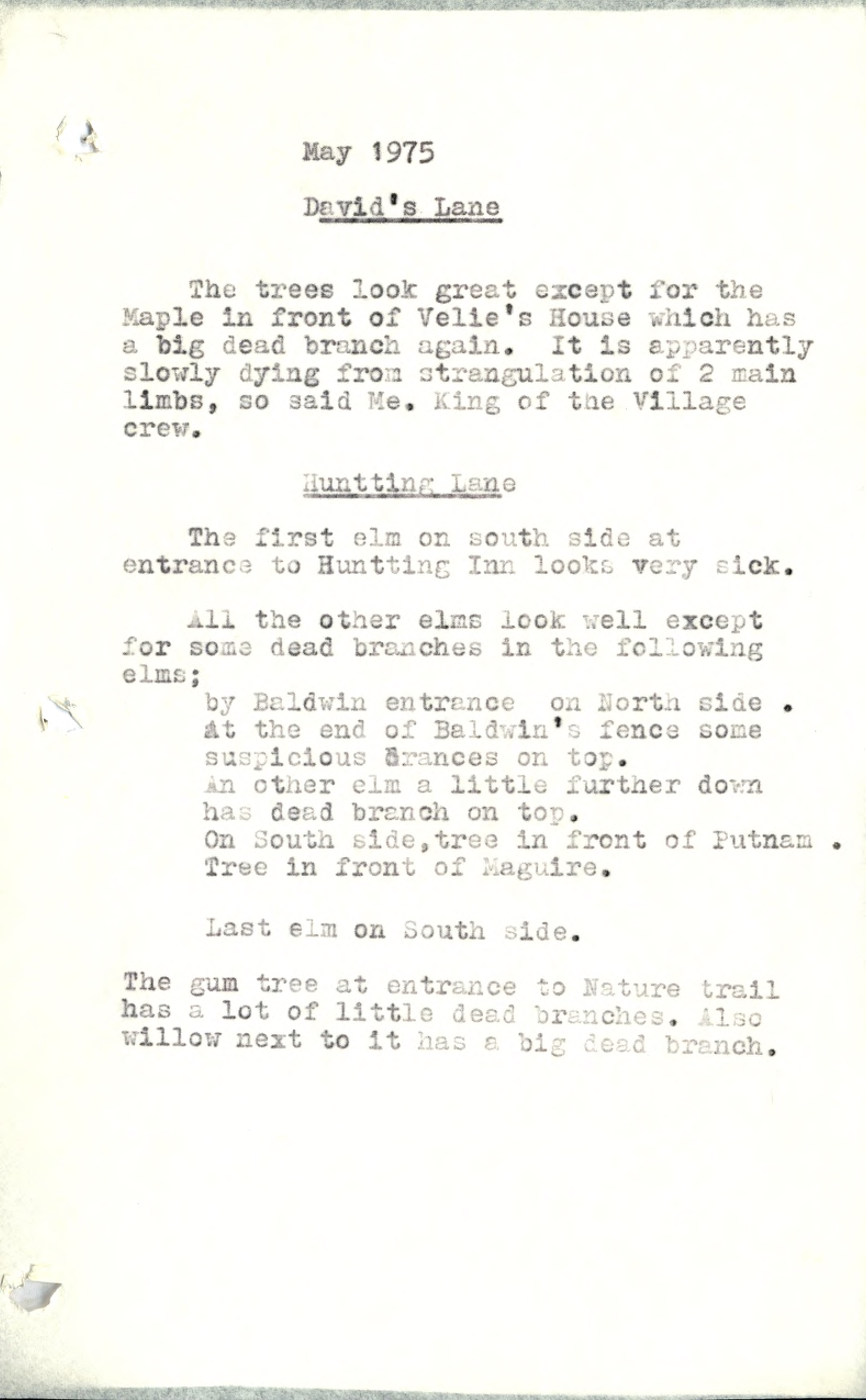 Tree Inspection Report, May 1975