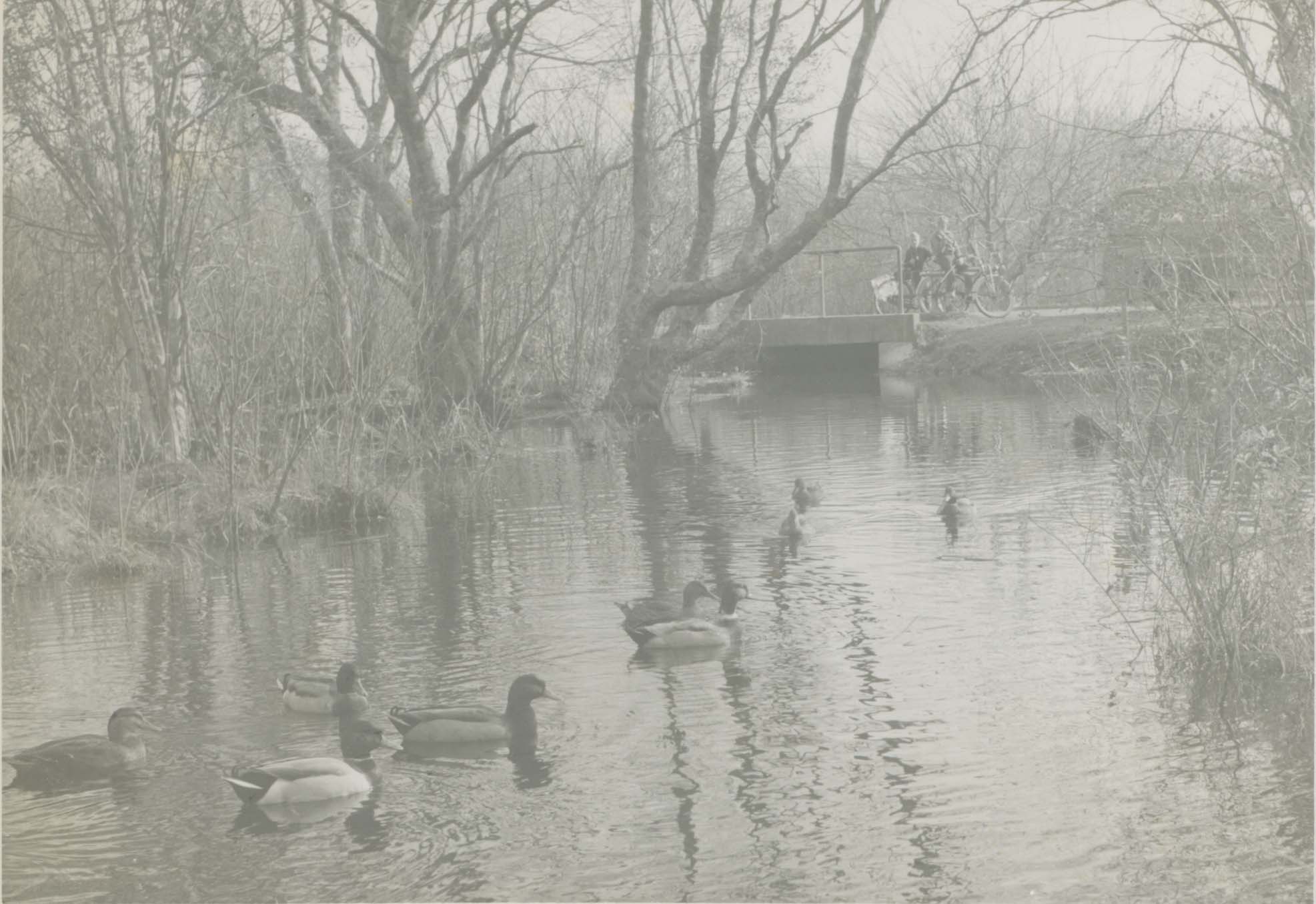 The Nature Trail, East Hampton