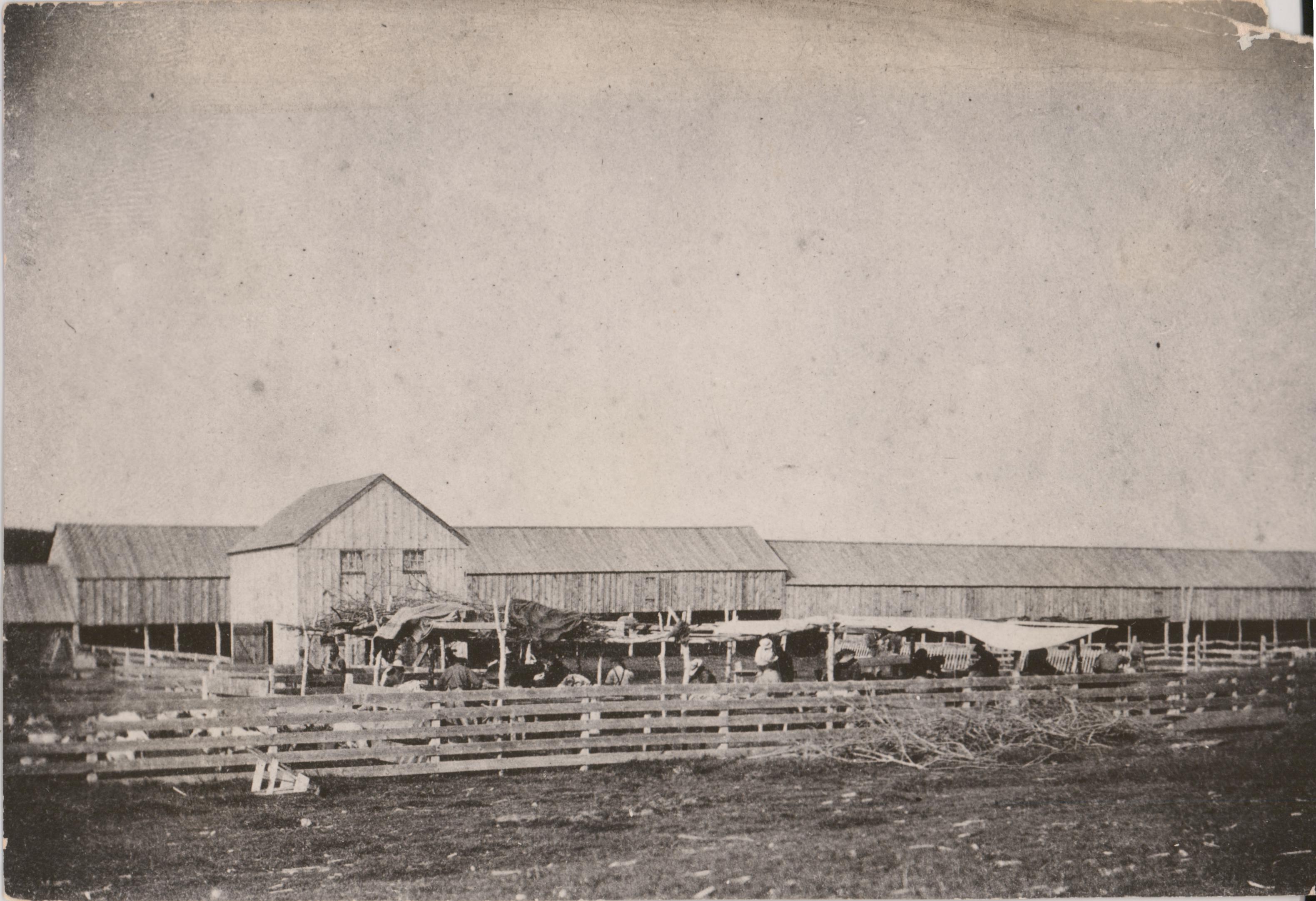 Sheep Pens at Third House, 1880