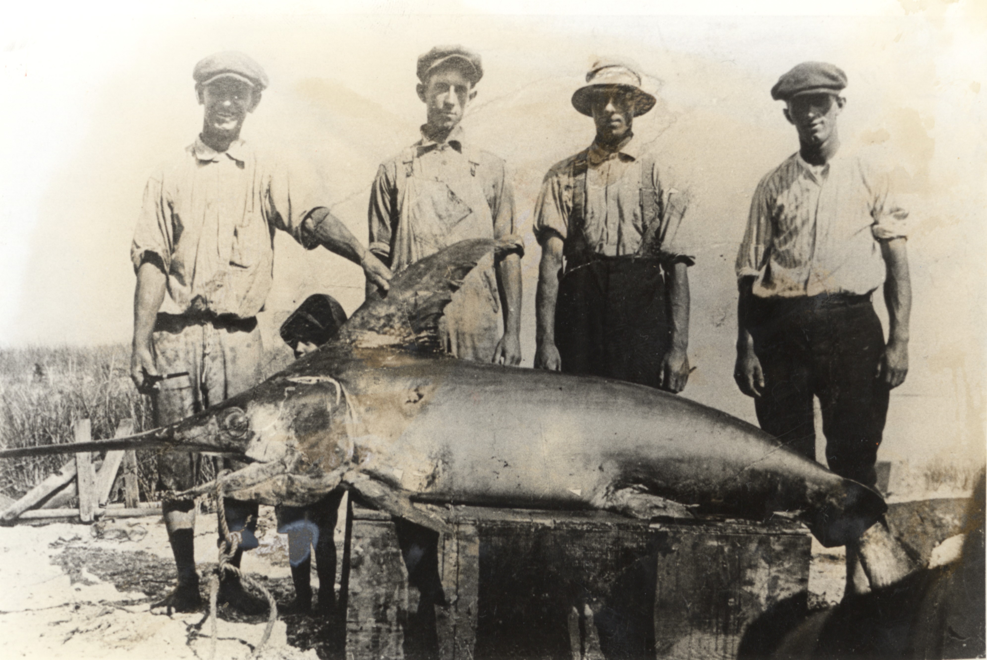 Harry T. Lester and his Four Brothers Posing with a Swordfish, 1920